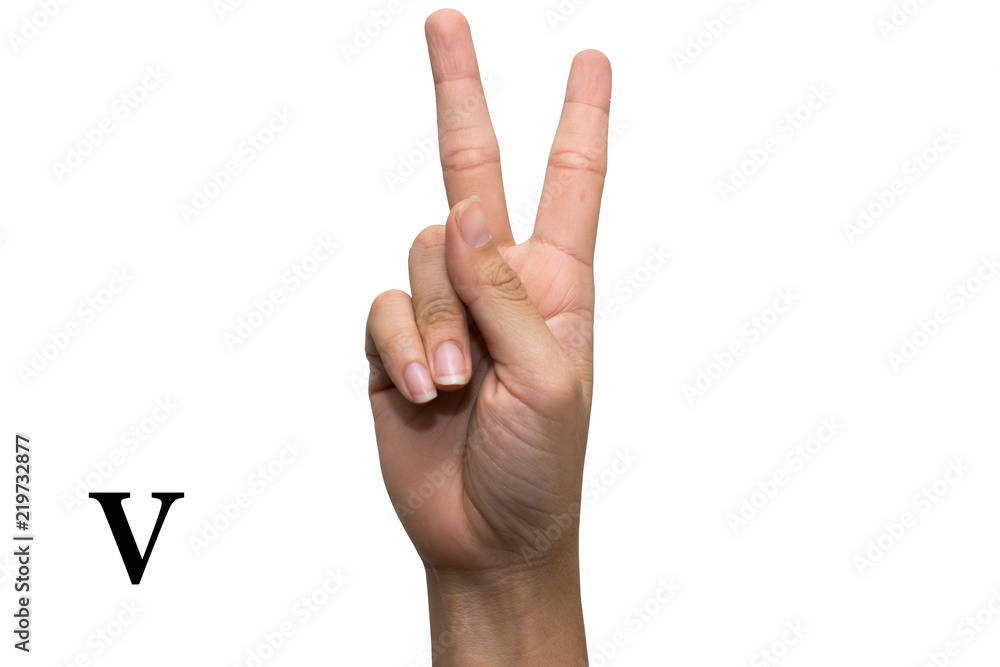 Asl Letter V