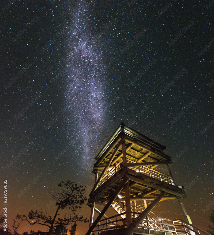 Glowing milky way over the wooden watch tower in the swamp. Light ...