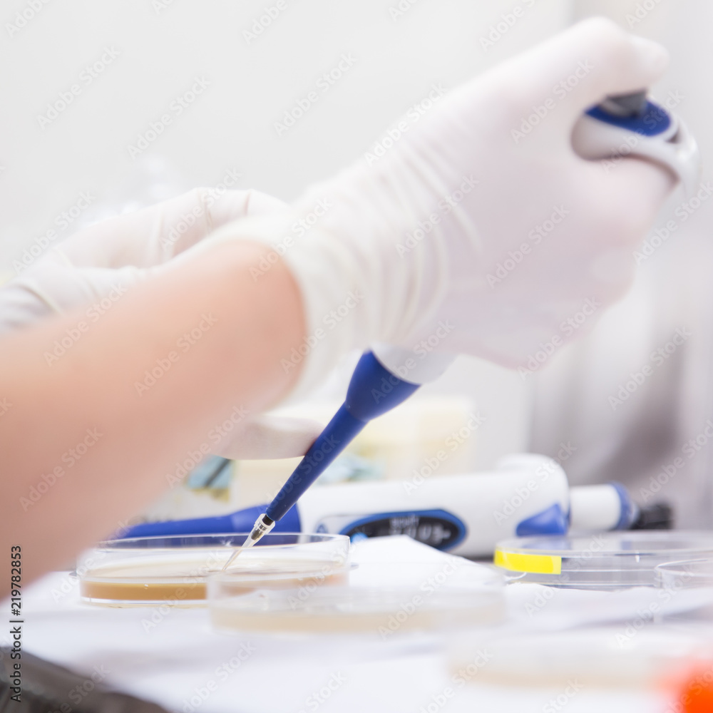 Female scientist researching in laboratory, pipetting cell culture ...