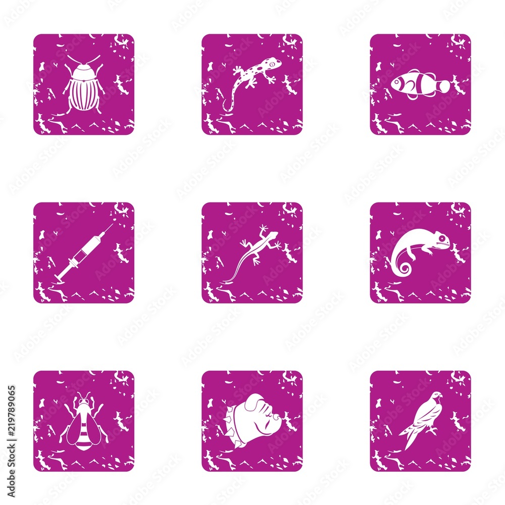 Bestial icons set. Grunge set of 9 bestial vector icons for web ...