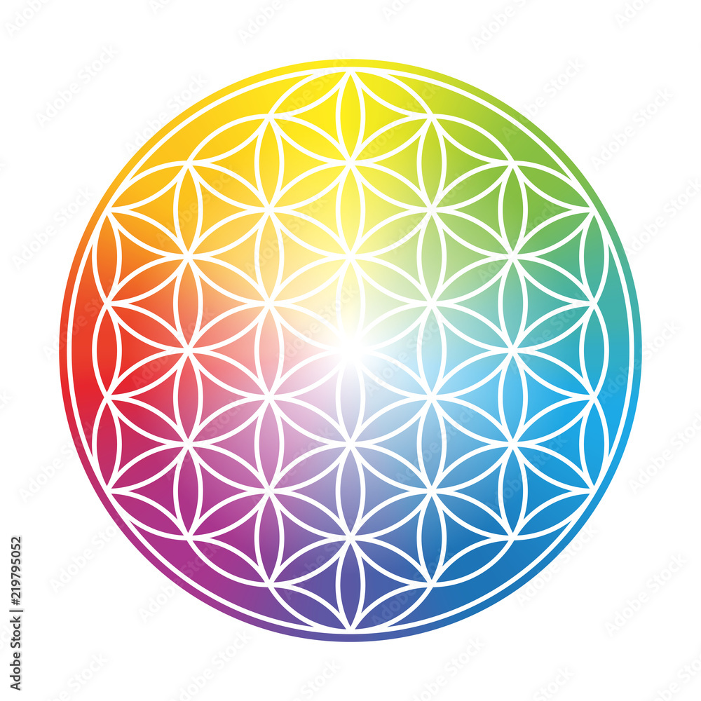 Flower Of Life Color