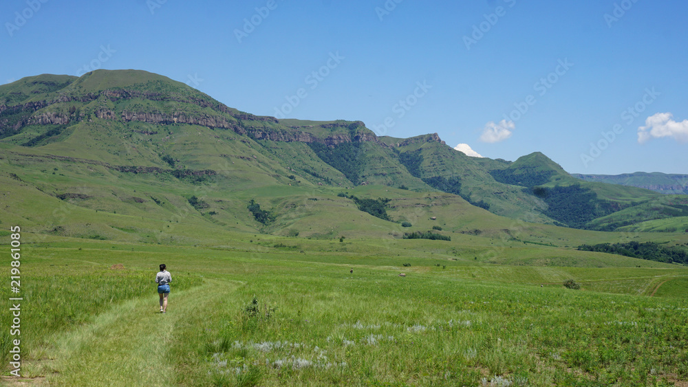 Rich nature with grass and mountains, clouds, in Drakensberg Giant ...