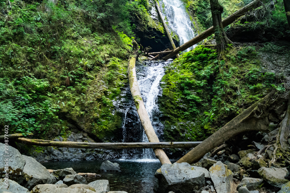 Murhut Falls forms a pool with fallen tree logs inside Olympic National ...