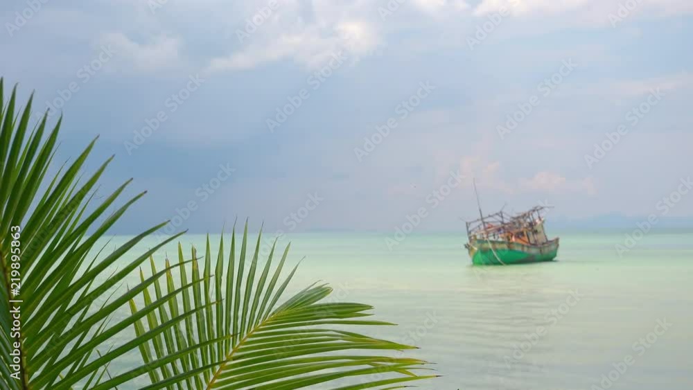 Vidéo Stock Drowned vessel seen through green leaves of exotic palm ...