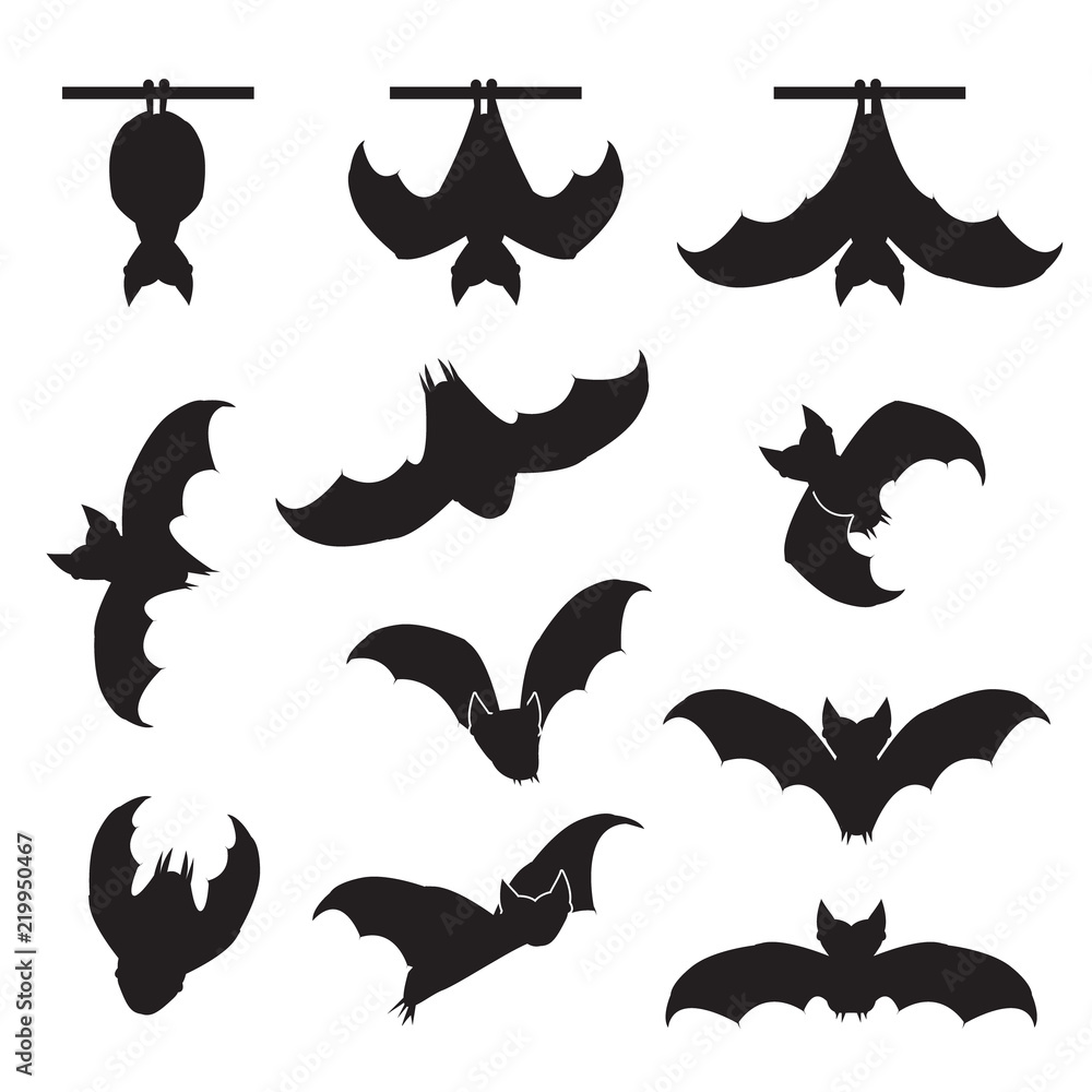 Bat in various positions set. Bat icons. Vector. Stock Vector | Adobe Stock