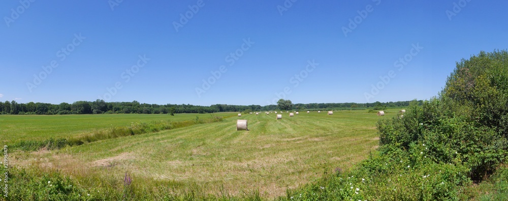 Heuernte Stock Photo | Adobe Stock