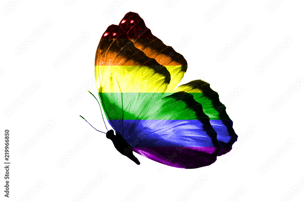 flag of LGBT on the wings of a butterfly. isolated on white background ...