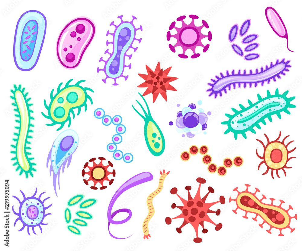 Fungi Bacteria Clipart