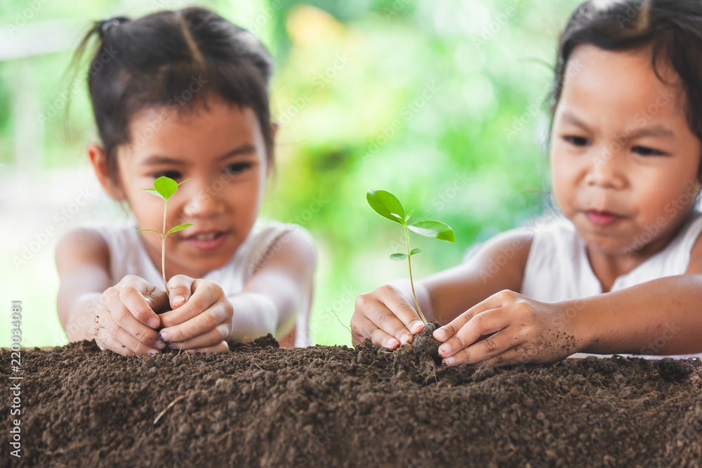 Two cute asian child girls planting young tree on black soil together ...