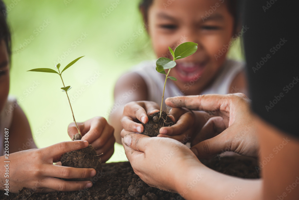 Happy family mother and daughter having fun to holding young tree in ...