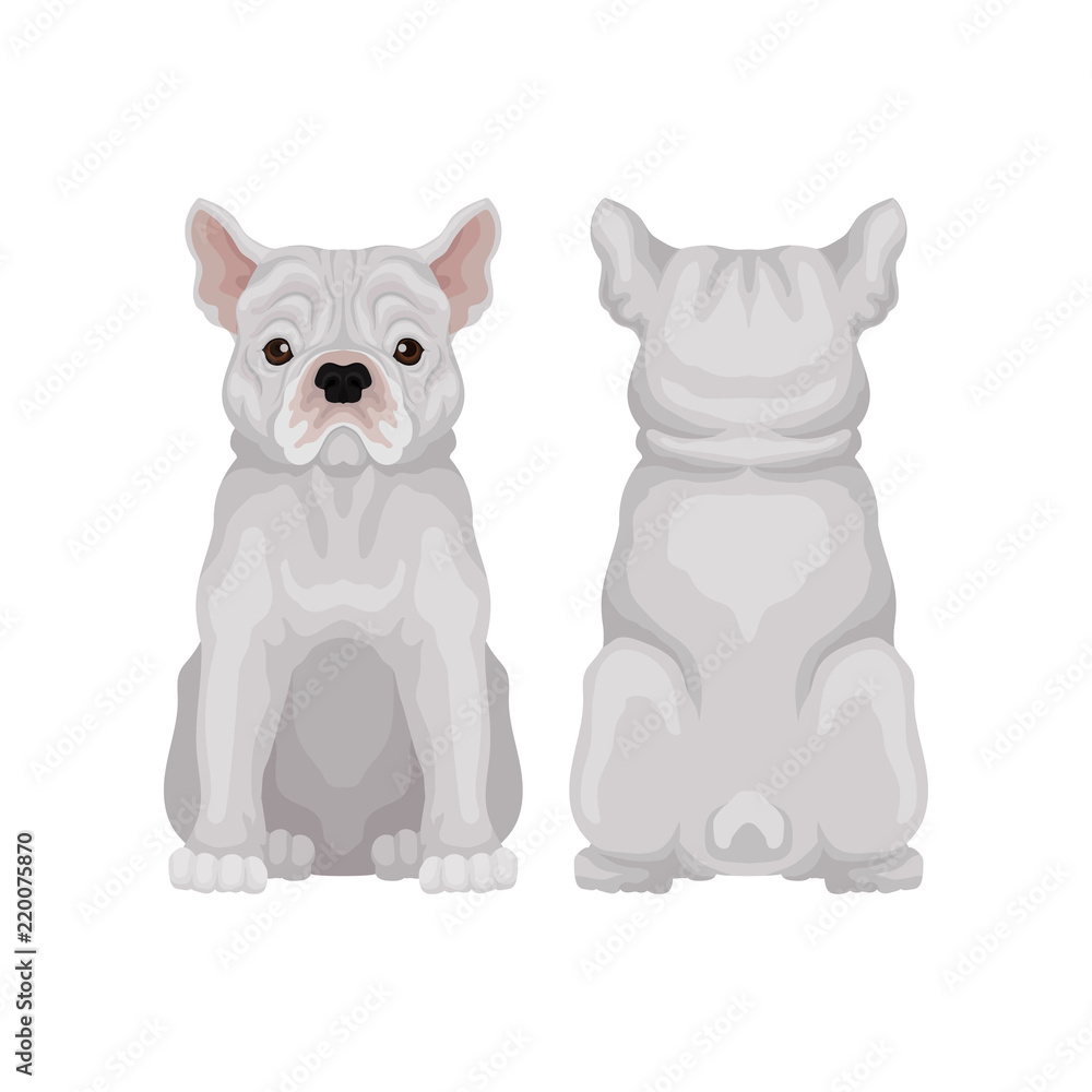 Dog Sitting Back View Cartoon