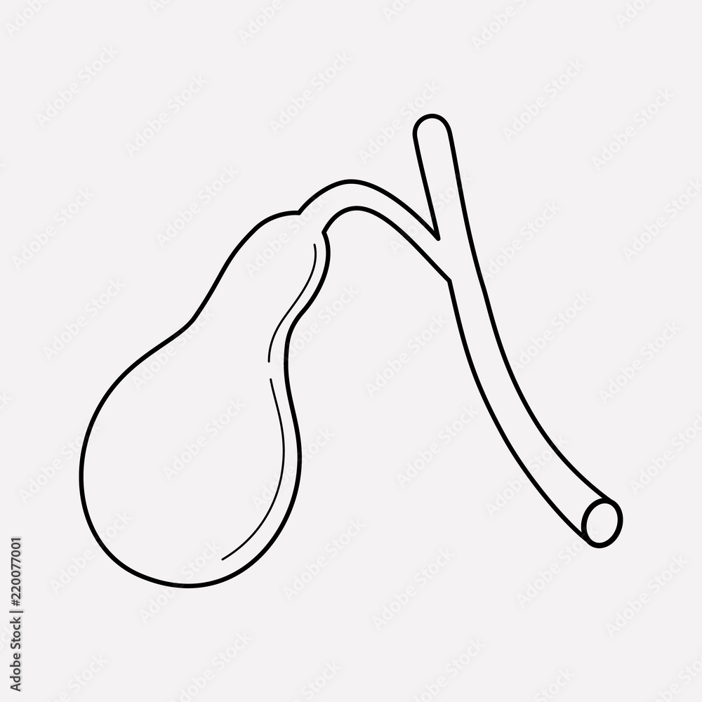 Gallbladder Clip Art