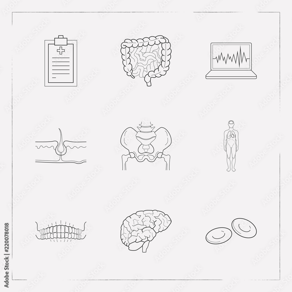 Set of medicine icons line style symbols with pelvis, brain, intestine ...