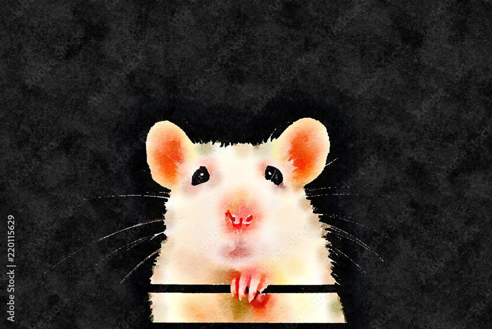 Watercolor painting of cute white pet rat portrait with black ...