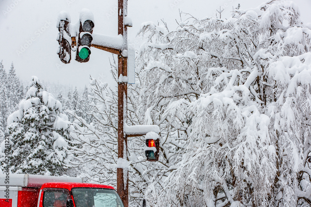 Row of red and gree traffic lights for stop and start pedestrians ...
