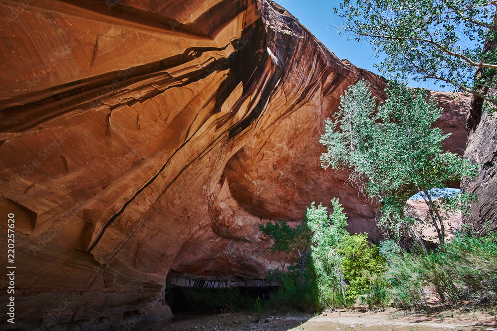 Towering, Canyon Walls in Coyote Gulch, Escalante and Glen Canyon ...