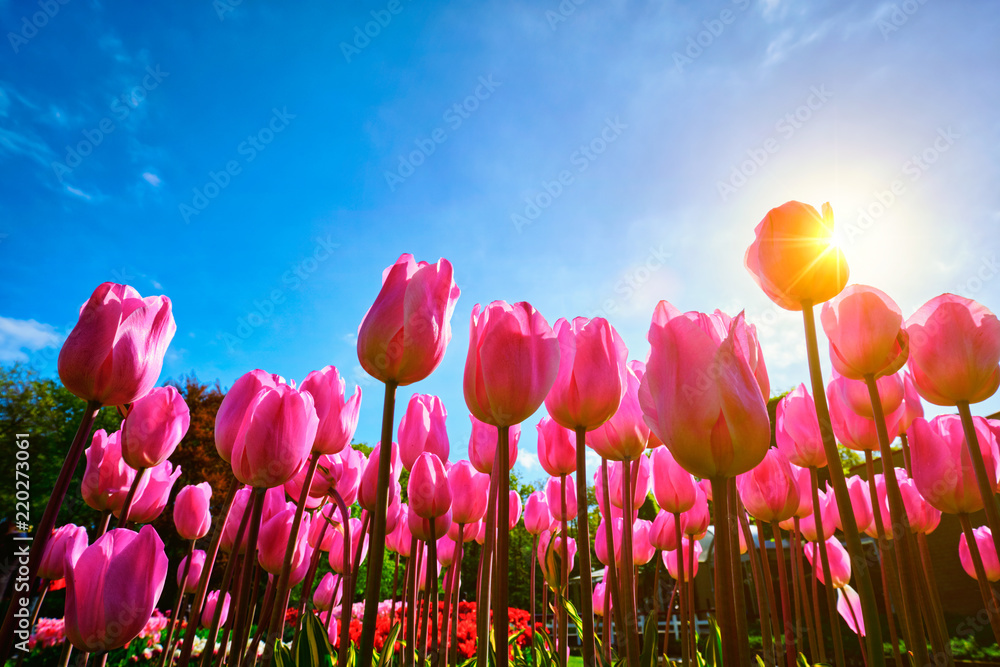 Low Vantage Point Photography