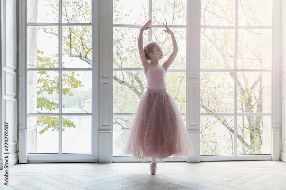 Young classical ballet dancer girl in dance class. Beautiful graceful ...