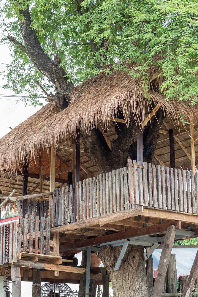 Wooden hut with vetiver roof covered with large trees. Stock Photo ...
