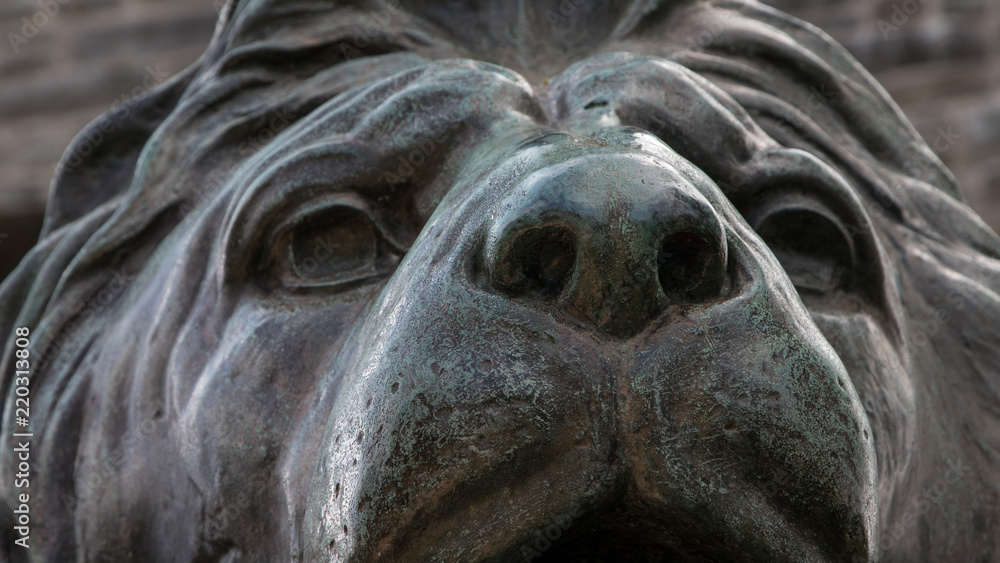 lion face, statue, sculpture, art, head, eyes, bronze, portrait, old ...