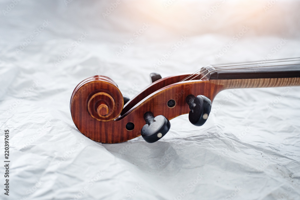 Violin Scroll Design