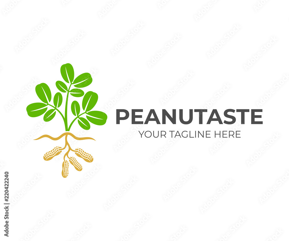 Plant peanuts grow in the ground with underground fruits, logo design ...