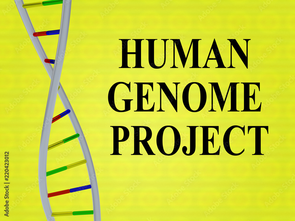 HUMAN GENOME PROJECT concept Stock Illustration | Adobe Stock