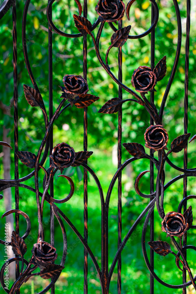 Wrought Iron Gate Details