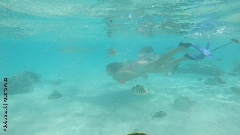 UNDERWATER: Young female traveler dives in the emerald ocean with ...