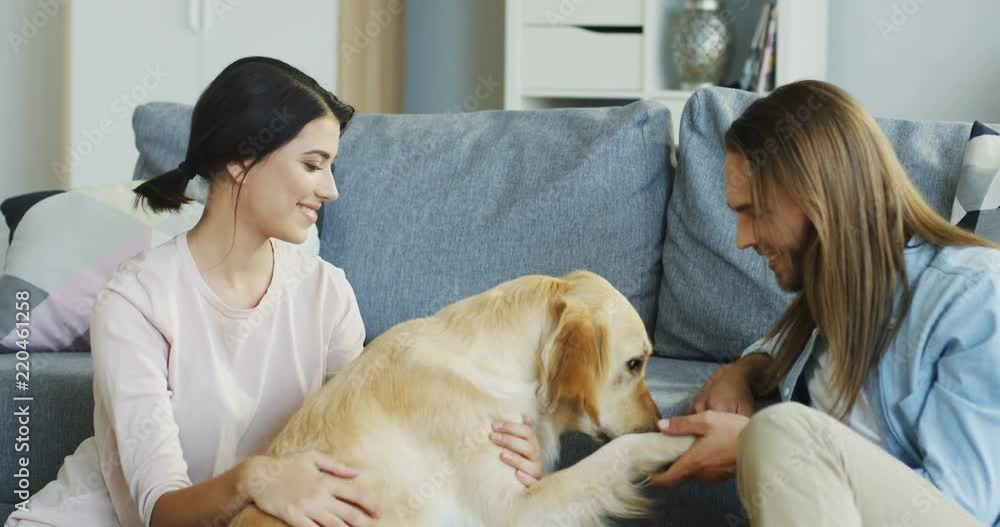 Close up of the pretty brunette woman embracing a labrador dog and man ...