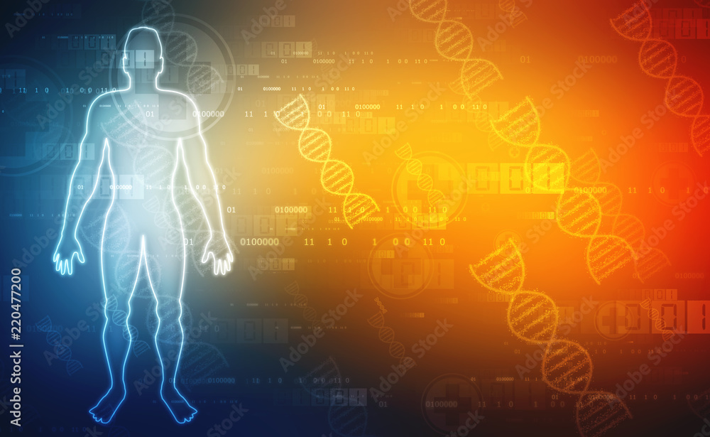 Human Anatomy with Dna Structure in medical background, Chromosome Man ...