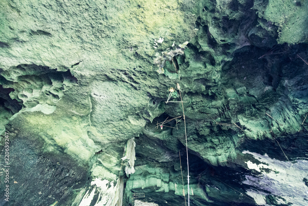Tools to harvest bird's nest on cave ceiling, Niah Caves. Stock Photo ...