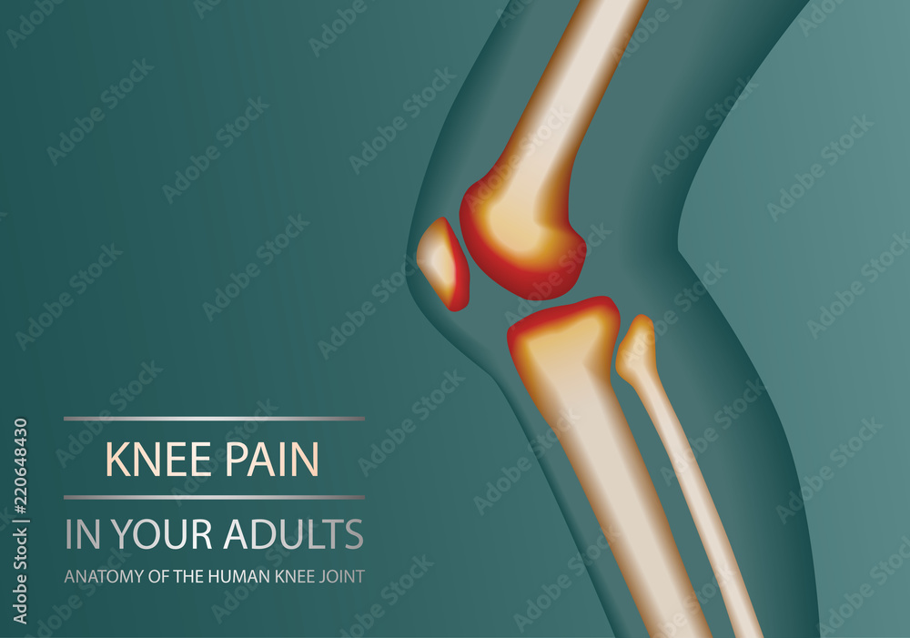 Highlighted human knee joint medical diagnostic emblem for orthopedic ...