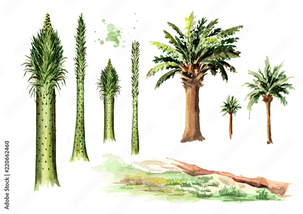 Prehistoric tree set. Watercolor hand drawn illustration, isolated on ...