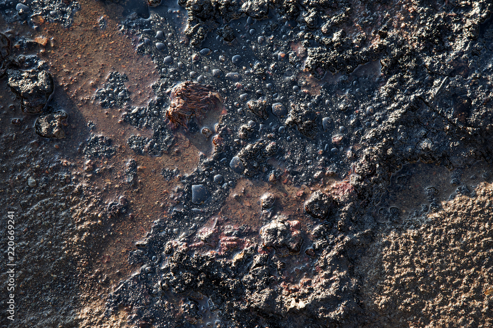 Spills of crude oil on the soil surface - environment pollution. A ...