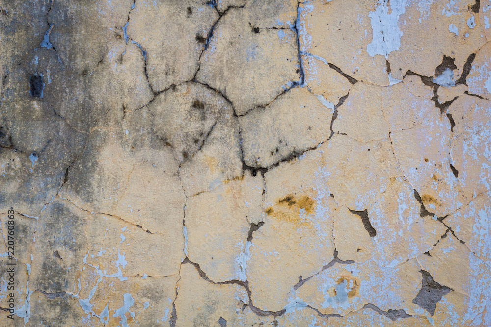 Mould fungus texture detail of molding interior, old wall Stock Photo ...