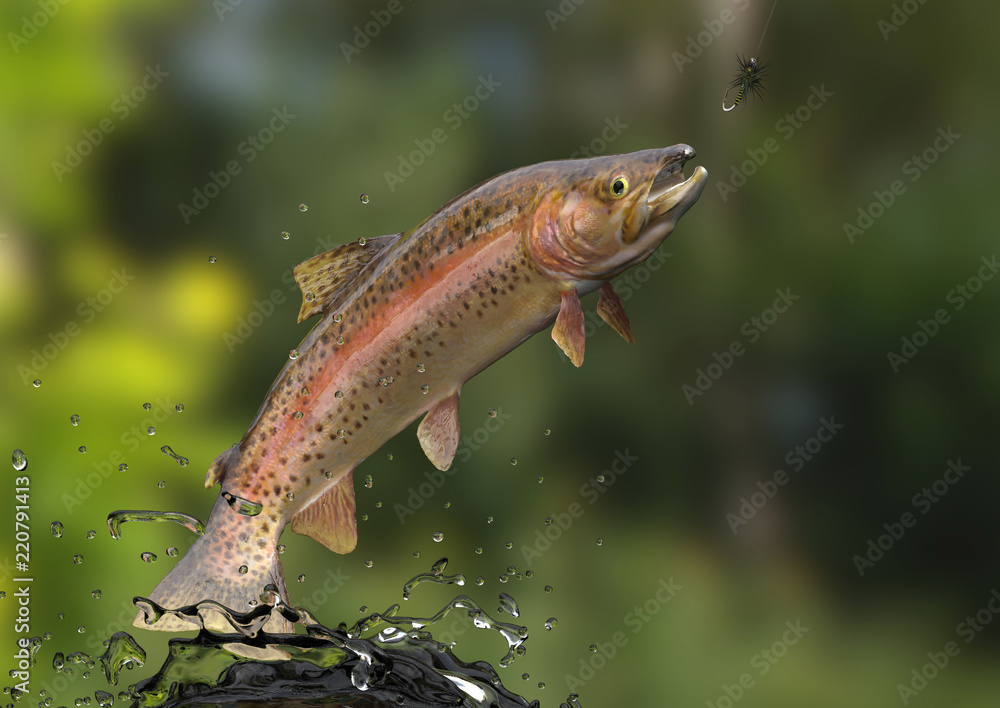 Rainbow Salmon Trout fish jumping out of water Stock Illustration ...