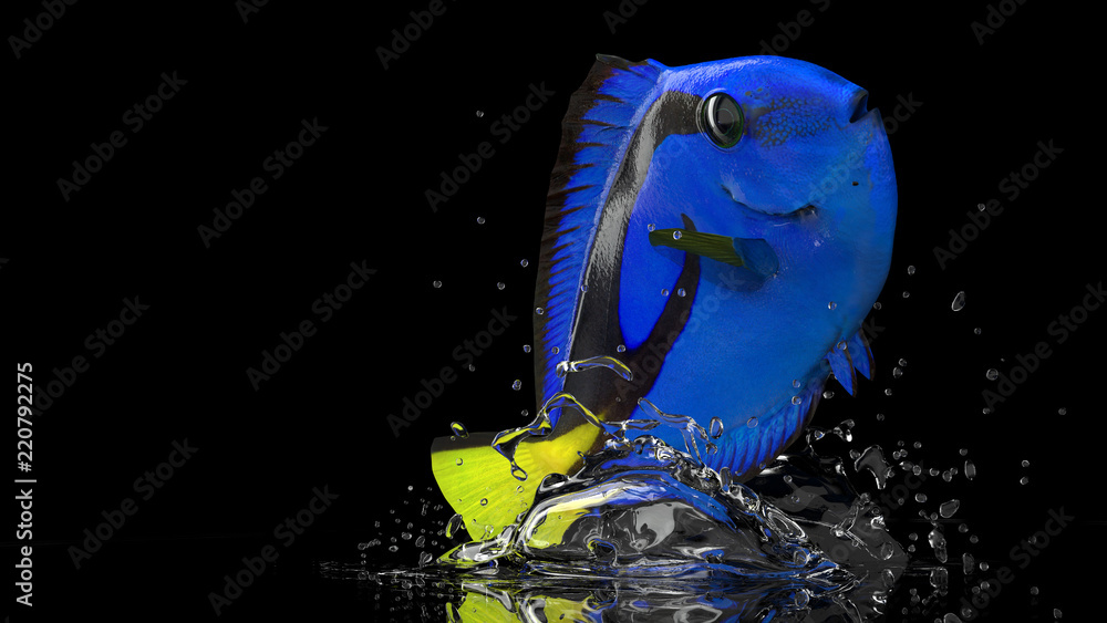 Shiny eyes, blue tang tropical reef fish aiming sky and jumping Stock ...