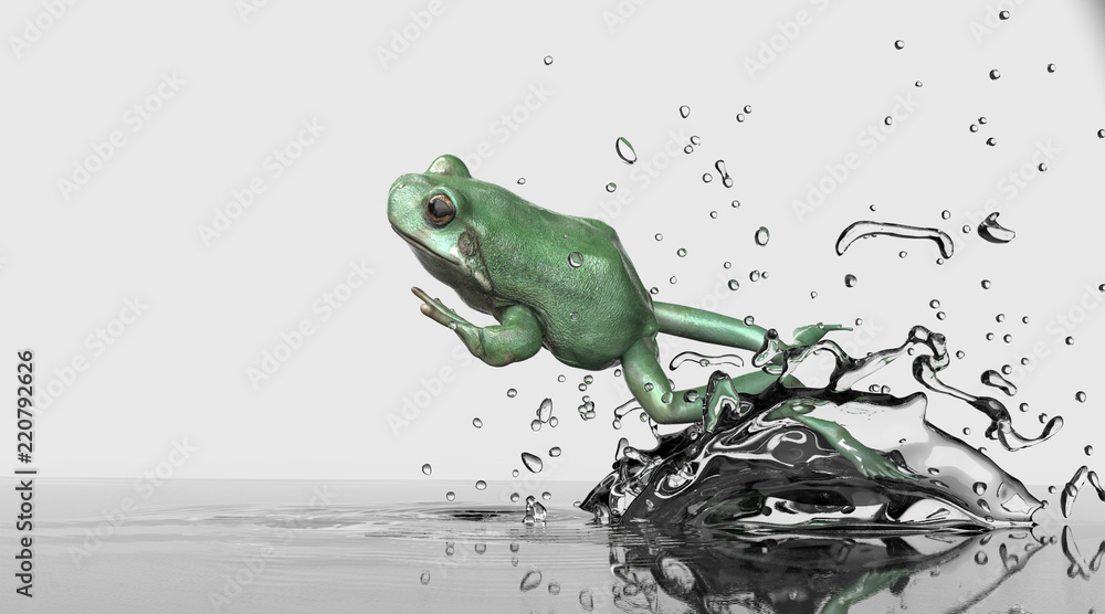 Frog Jumping Into Water