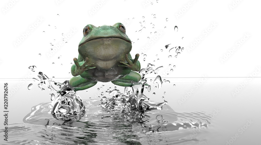 Frogs Jumping Back View