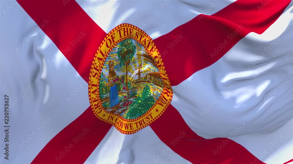 270. Florida Flag Waving in Wind Slow Motion Animation . 4K Realistic ...