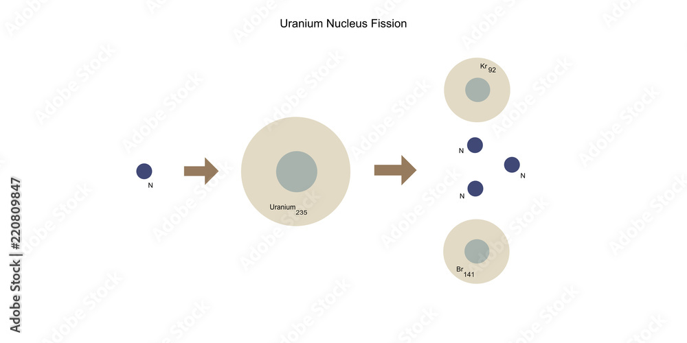 uranium nucleus fission schematic illustration - physics theory ...