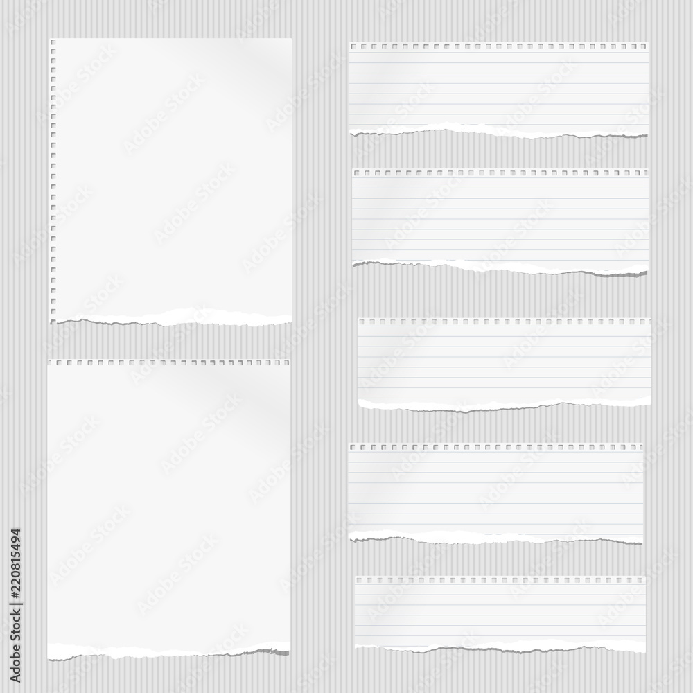 Torn Notebook Paper Edge