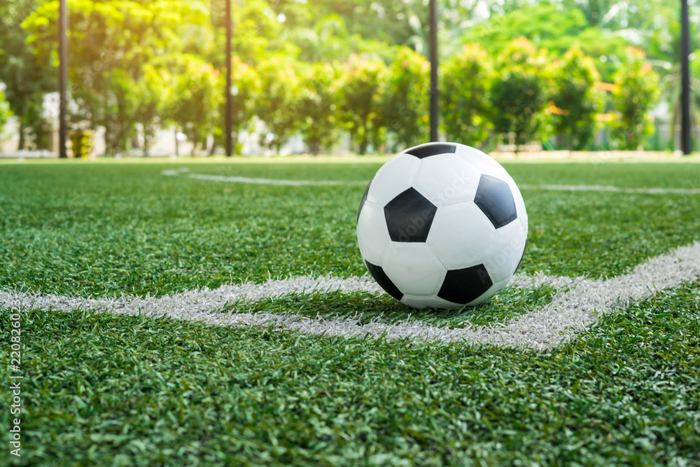 Soccer Field With Ball