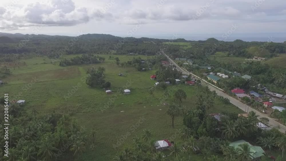 Typical countryside with palms and fields in Philippines. Bohol island ...