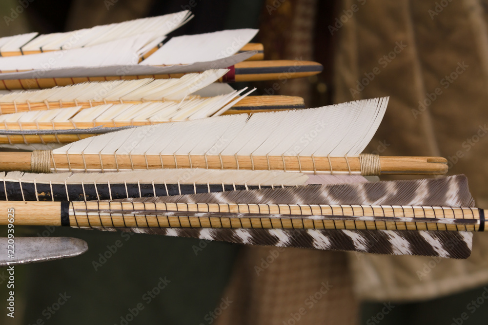 Medieval arrow fletchings or feathers traditionally attached with glue ...