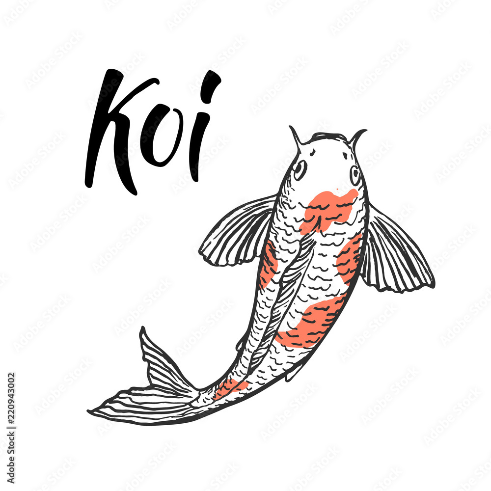 Japanese Koi ink illustration with calligraphic word "Koi". Stock ...