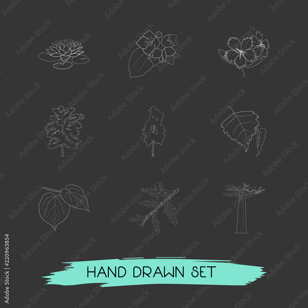 Set of botany icons line style symbols with blackthorn tree, jasmine ...