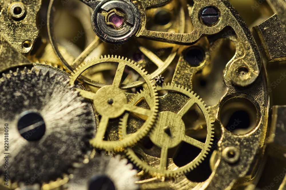 Process Of Installing A Part On A Mechanical Watch Watch Repair Stock process-of-installing-a-part-on-a-mechanical-watch-watch-repair-stock