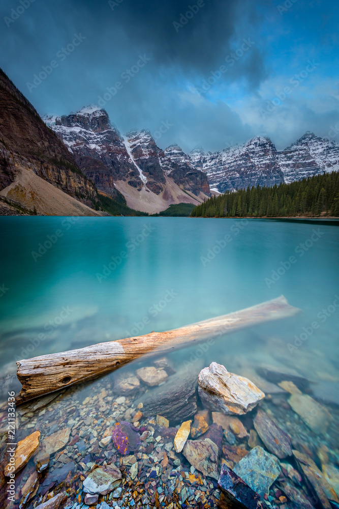 Tronc d'arbre flottant dans le lac Moaine Stock Photo | Adobe Stock